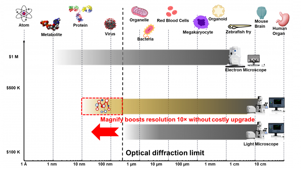 Magnify Biosciences, Inc. – Visualize the Future of Precision Medicine