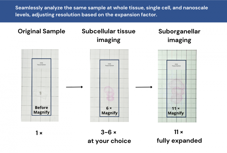 Magnify Biosciences, Inc. – Visualize the Future of Precision Medicine