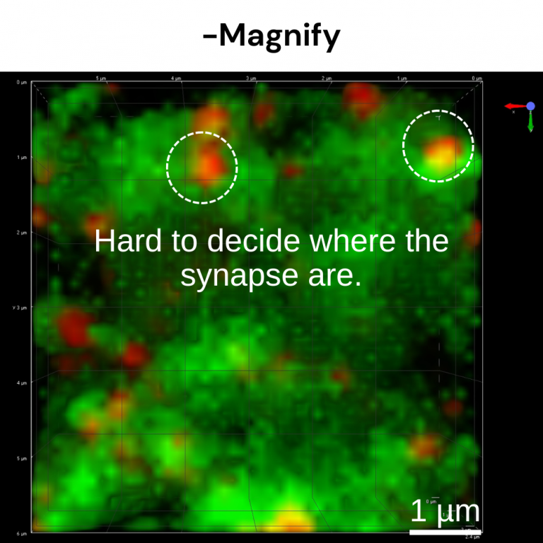 Magnify™ Expansion Kit – Magnify Biosciences, Inc.