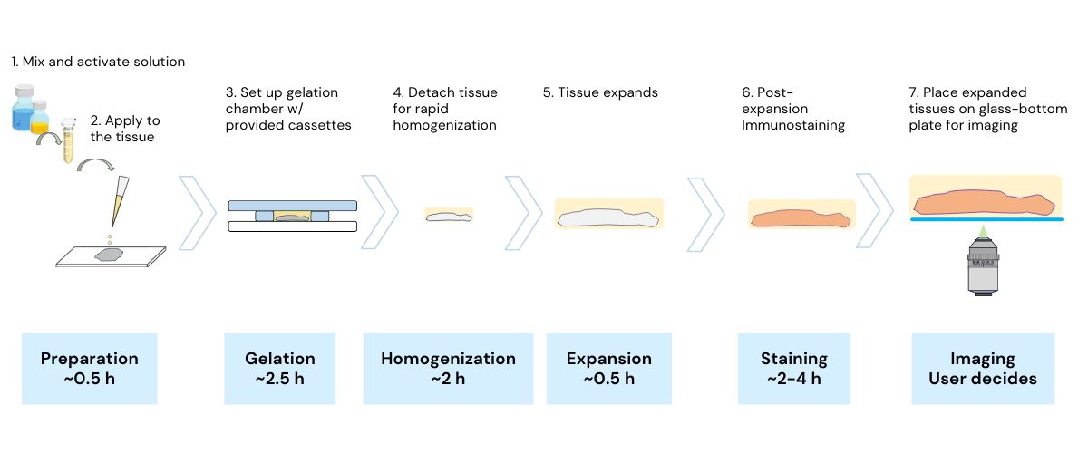 Magnify™ Expansion Kit – Magnify Biosciences, Inc.