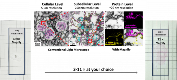 Magnify Biosciences, Inc. – Visualize the Future of Precision Medicine